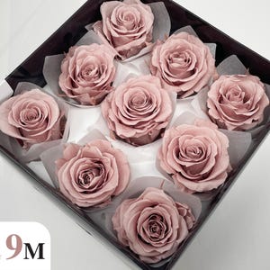 Glycerin preserved flowers store