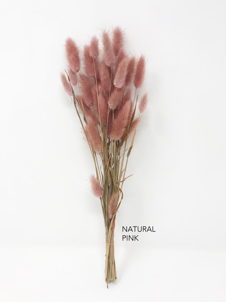Natural Pink Bunny Tail Dry Flowers Bundle Flower - Etsy