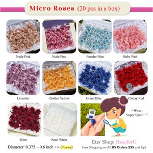 0.375 Inch Grand Blue Rose Tiny MICRO Preserved Rose SMALL Floral ...
