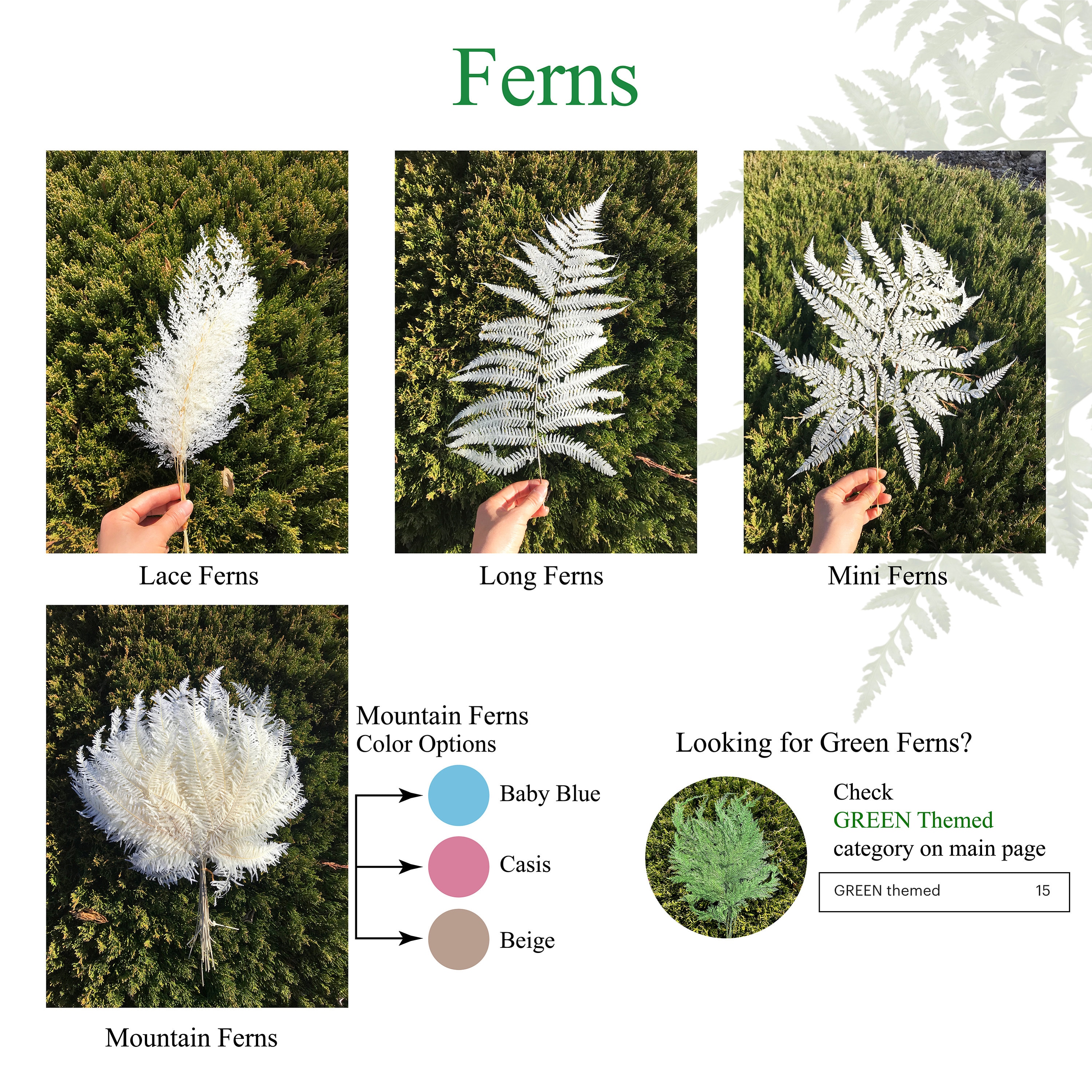 White Long Ferns Qty 10 Dried Flower Fern Wedding Decor Floral ...