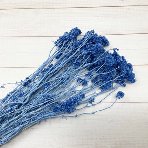 Soda Blue Crispum Dried Blue Flower DIY Home Decor Floral Arrangement ...