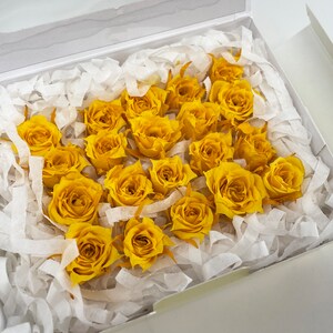 Golden Yellow Preserved Rose Micro Tiny Rose Preserved Flower Home ...