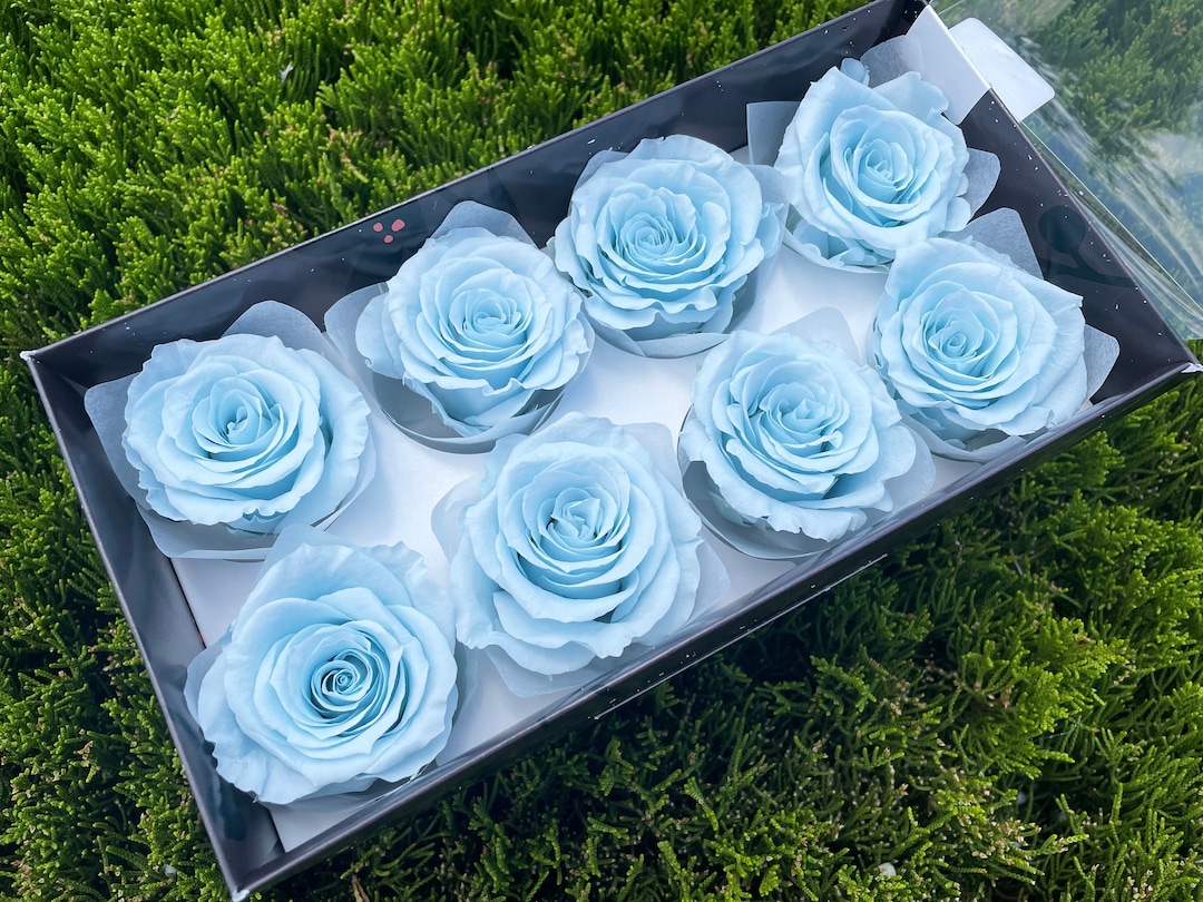 Baby Blue Rose Preserved Floral Arrangement Luxury Blue Baby Shower ...
