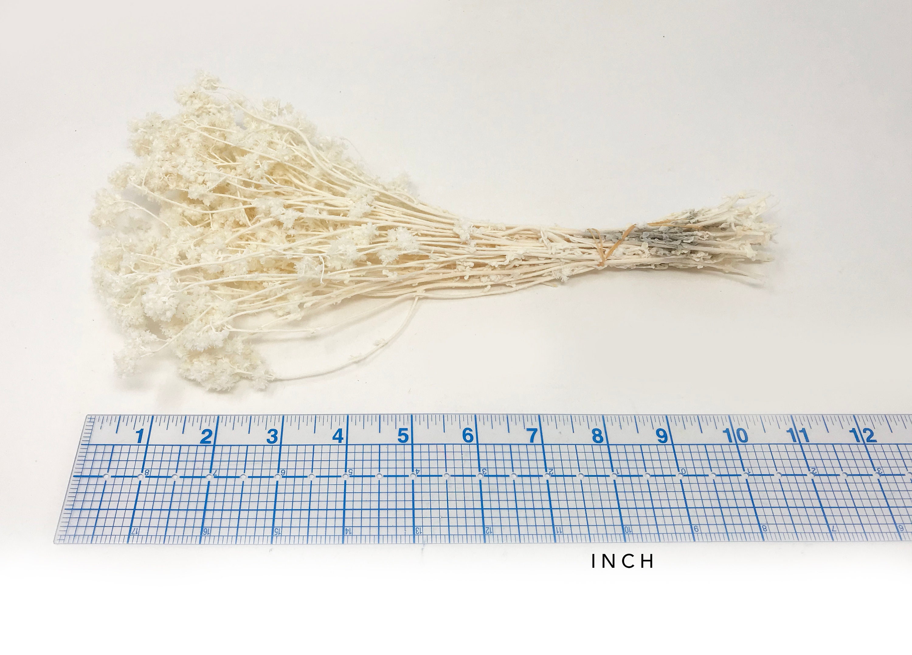 Crispum White Flower DIY Floral Arrangement Wedding Decor Home Flower ...