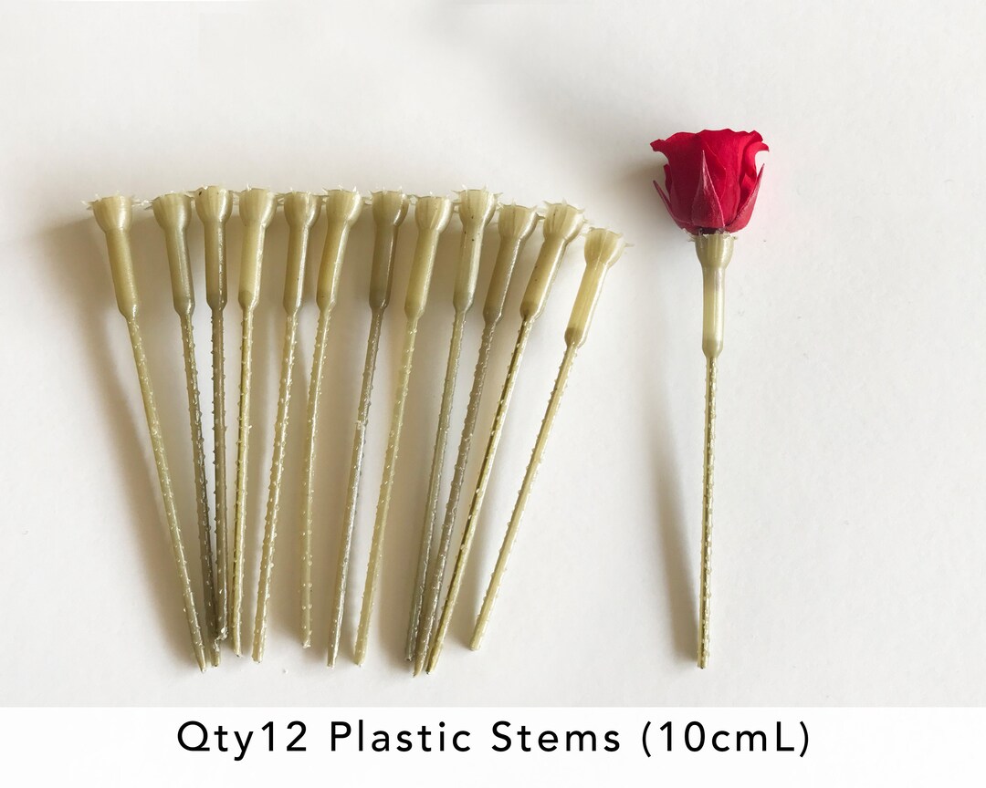 Dozen 10 Cml Small Preserved Rose Plastic Stems Home Decor Wedding ...