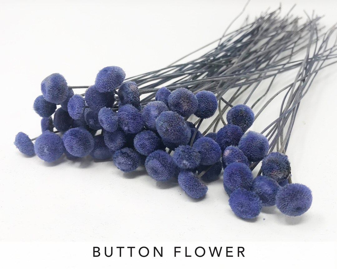 Purple Blue Button Flower Wedding Decor Dried Flower Gift DIY Floral ...