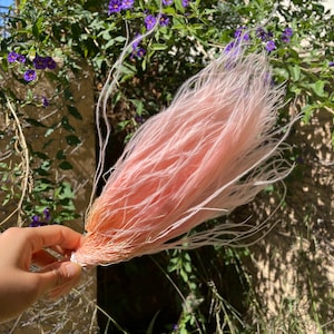 Stipa Pink Feather Grasses Pink Home Decor Flower Vase Decor Dried ...