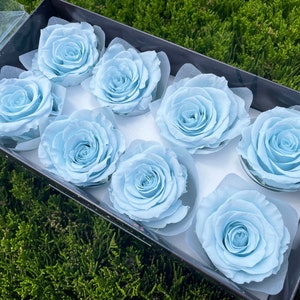 Baby Blue Rose Preserved Floral Arrangement Luxury Blue Baby Shower ...