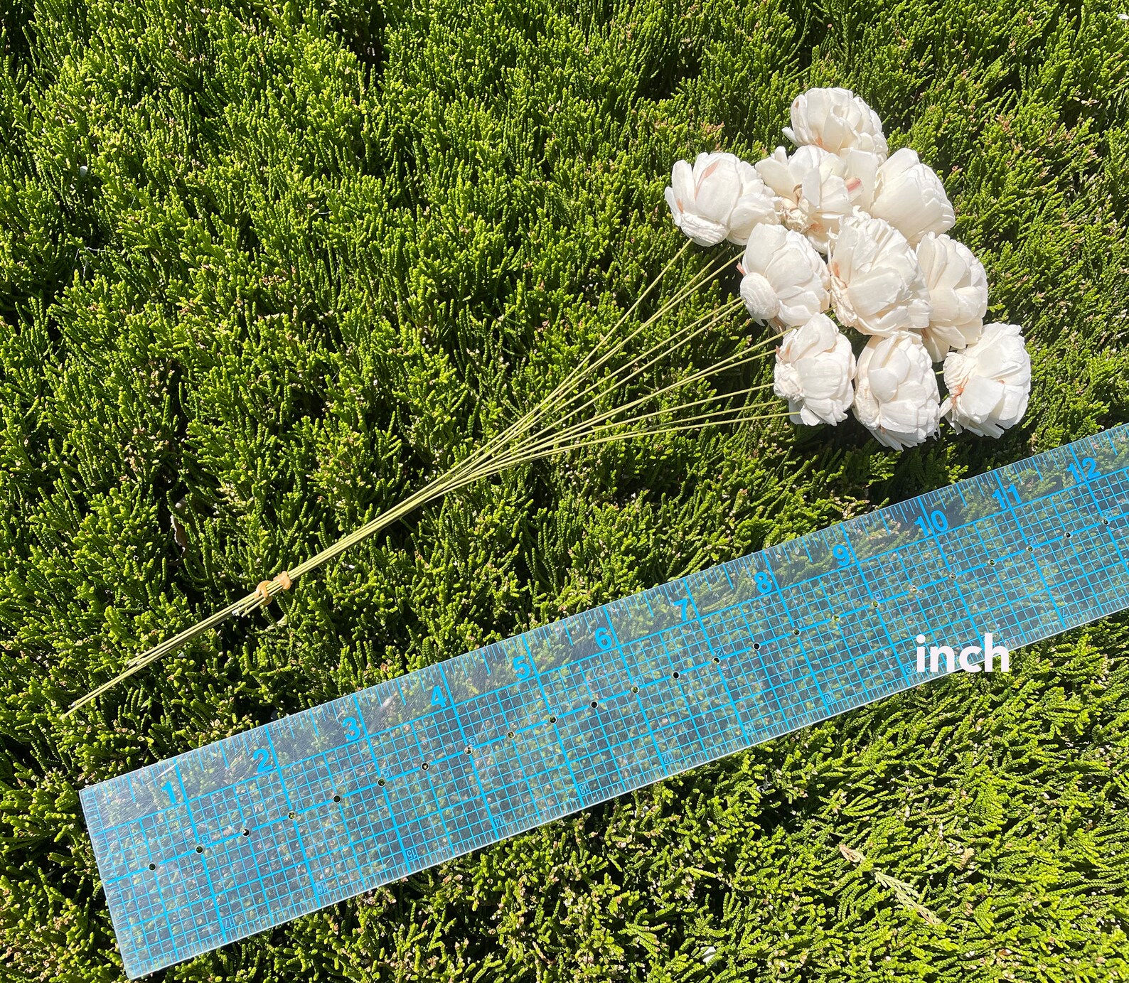 Sola Rose Artificial Flower Small Wedding Flower Dried 10 Stems DIY ...