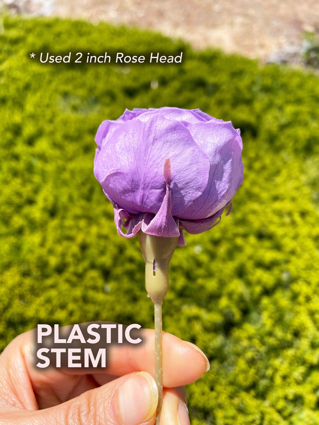 A Dozen / 100 Plastic Tems 4.5 Inch Fake Stems Preserved Rose Head ...