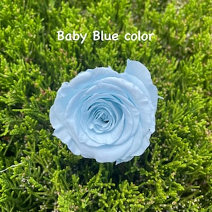 Baby Blue Rose Preserved Floral Arrangement Luxury Blue Baby Shower ...