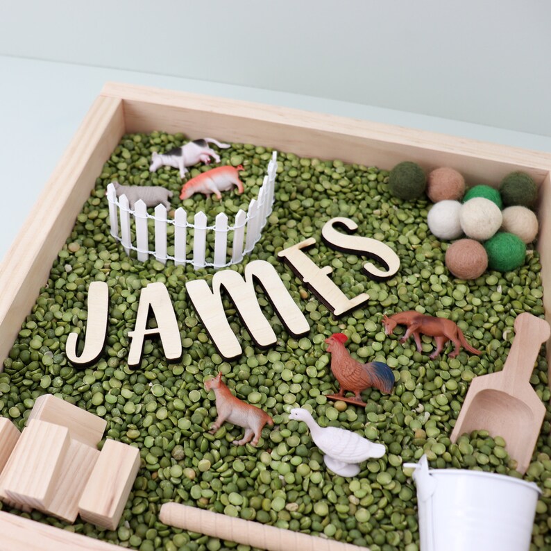 Kids Sensory Kit Farm Sensory Kit Montessori Play Kit | Etsy