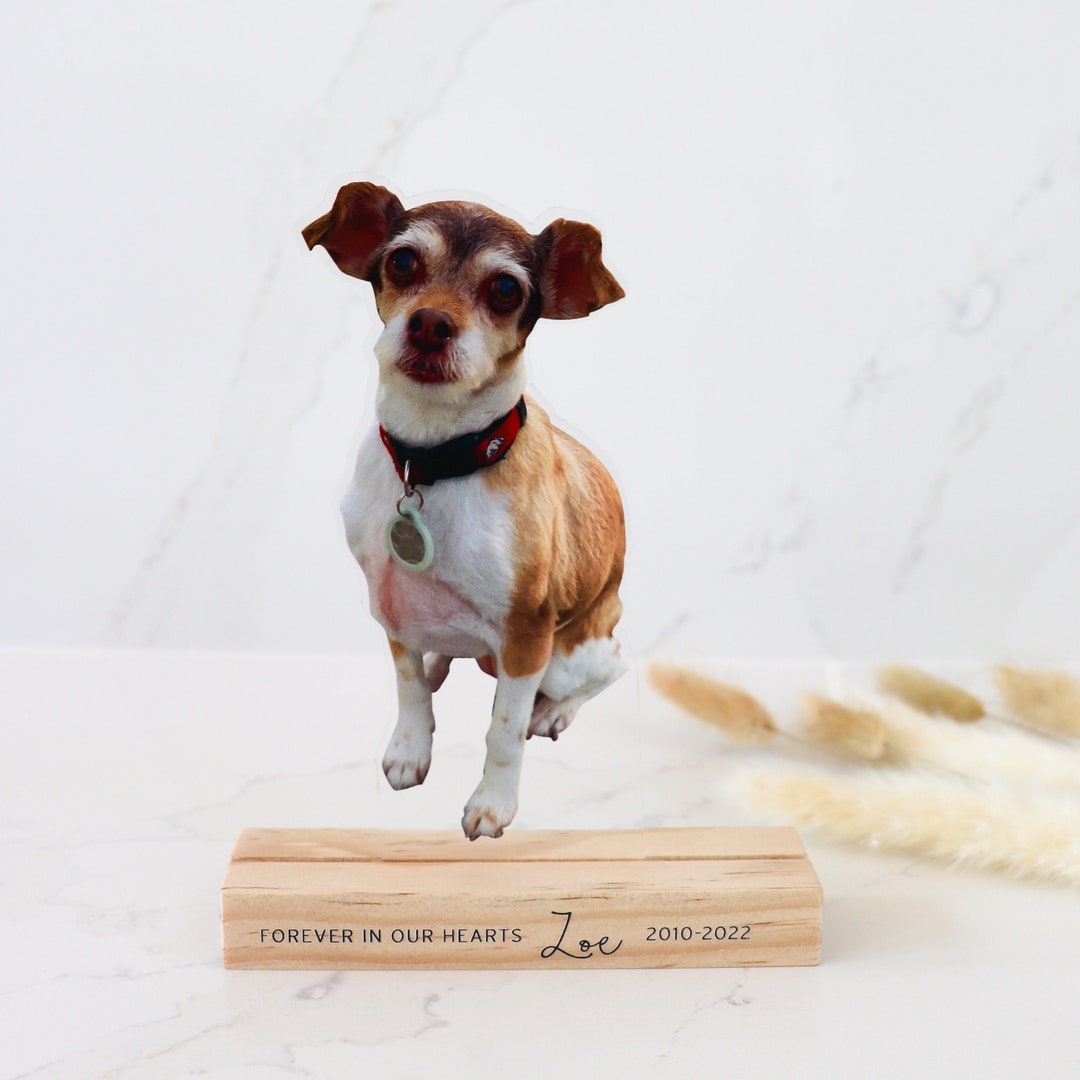 Pet Photo Desktop Pet Photo 3d Pet Photo Pet Portrait Pet - Etsy