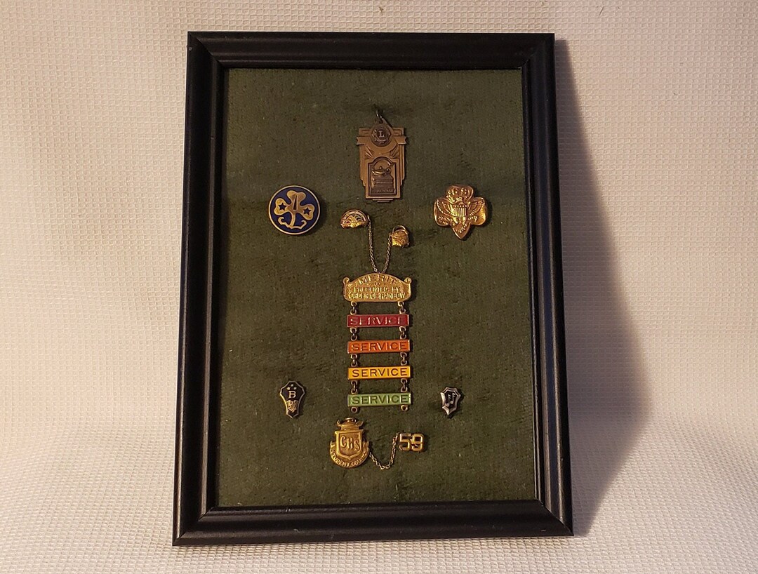 Vintage 8 Label Pins CHS 1959 Student Council BFCL Rainbow Lions Club ...