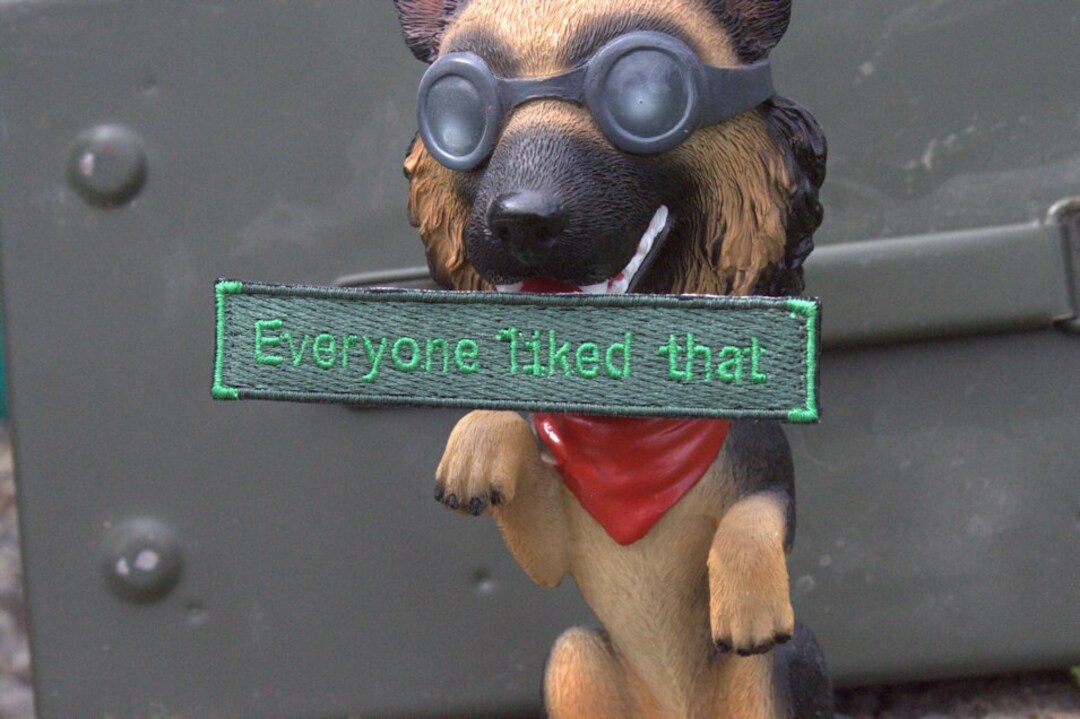 Everyone Liked That Fallout Patch - Etsy