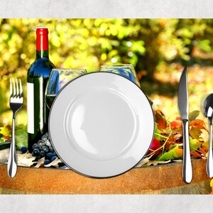 Wine Lover’s Plastic Placemat A3 Size Washable Table Decor - Etsy