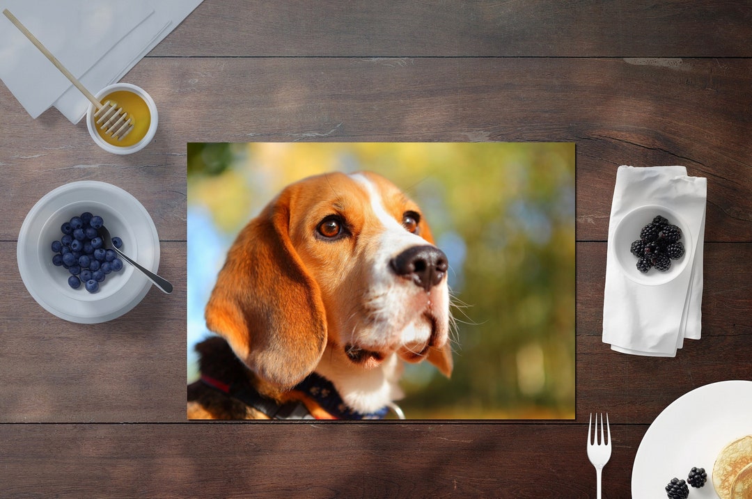 Laminated Placemat Beagle Dog A3 Size Washable Table Decor - Etsy