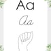 Plant-themed Classroom Alphabet Posters (print, Cursive, and Sign ...
