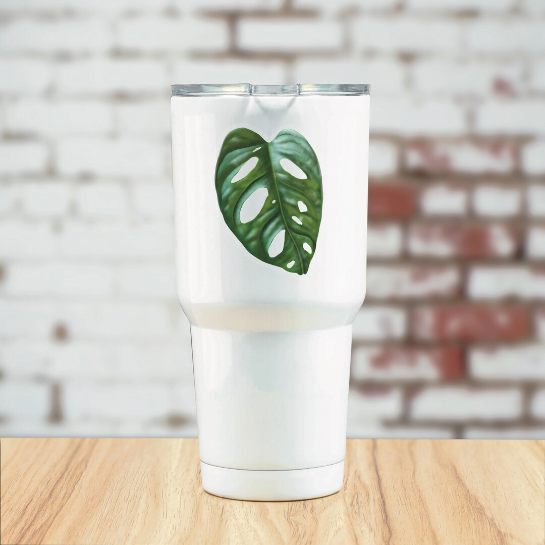 Swiss Cheese Plant Sticker, Weatherproof Vinyl Sticker, Laptop Sticker ...