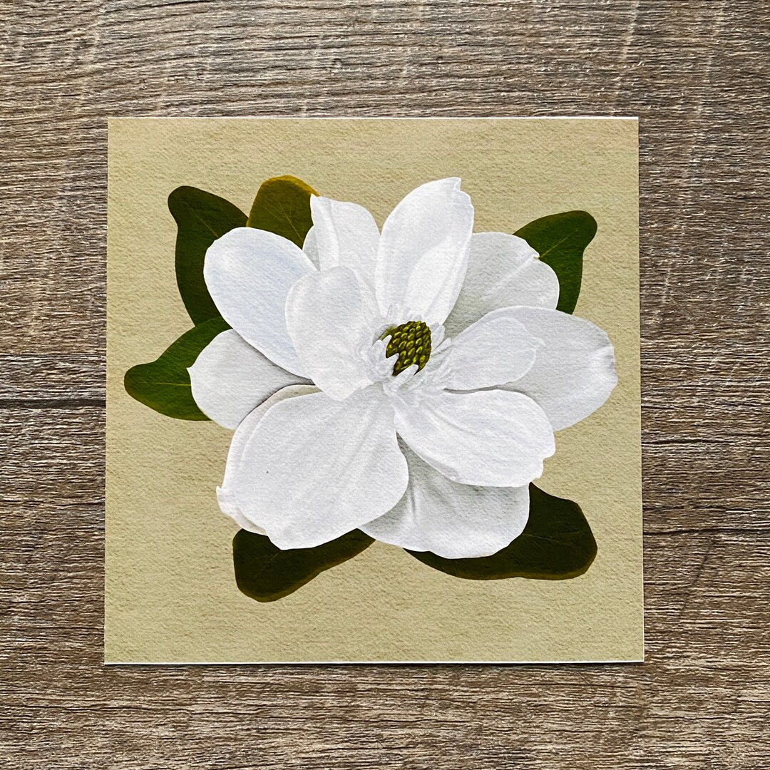 Mini Art Print, 4x4 Magnolia Art Print, Flower Art Print, Gift for ...