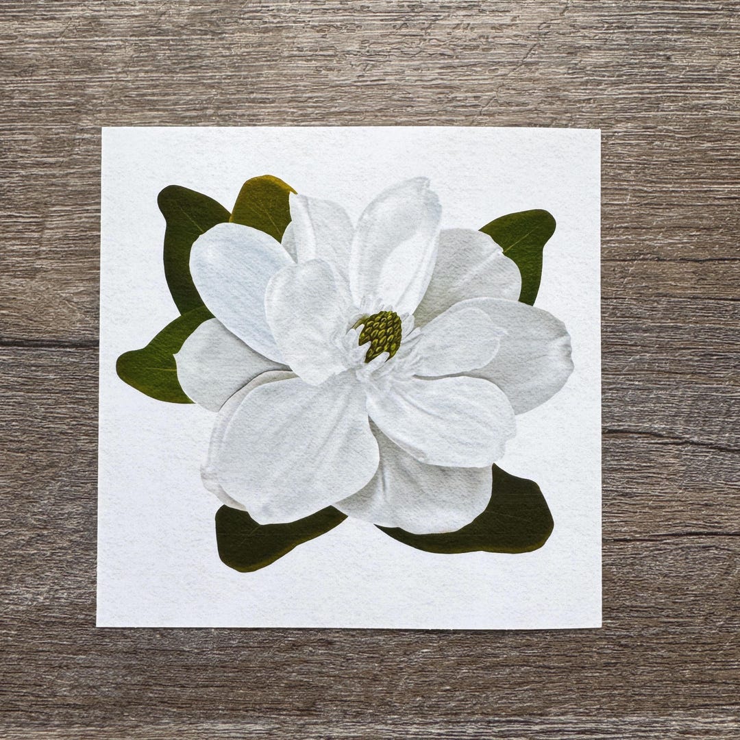 Mini Art Print, 4x4 Magnolia Art Print, Flower Art Print, Gift for ...