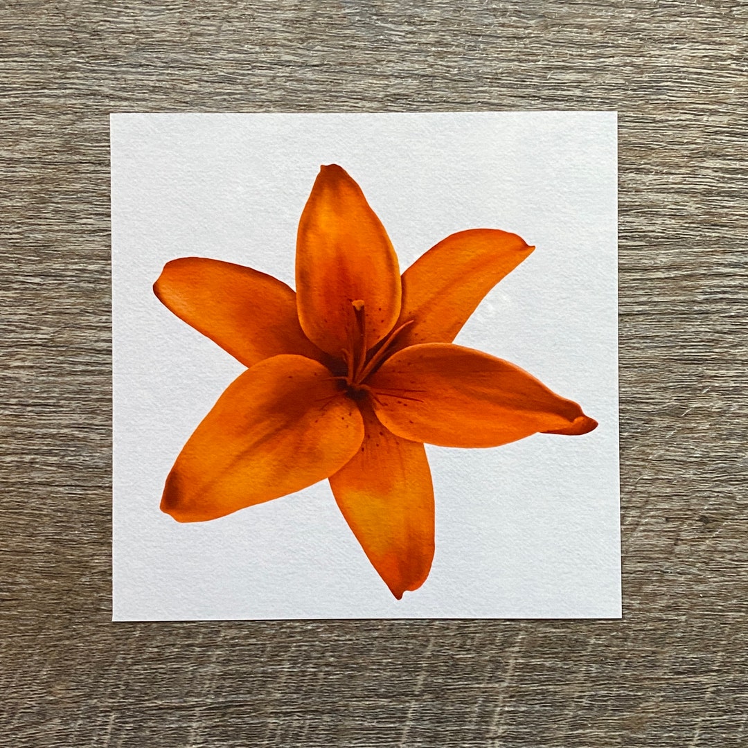Mini Art Print, 4x4 Flower Art Print, Orange Lily Art Print, Gift for ...