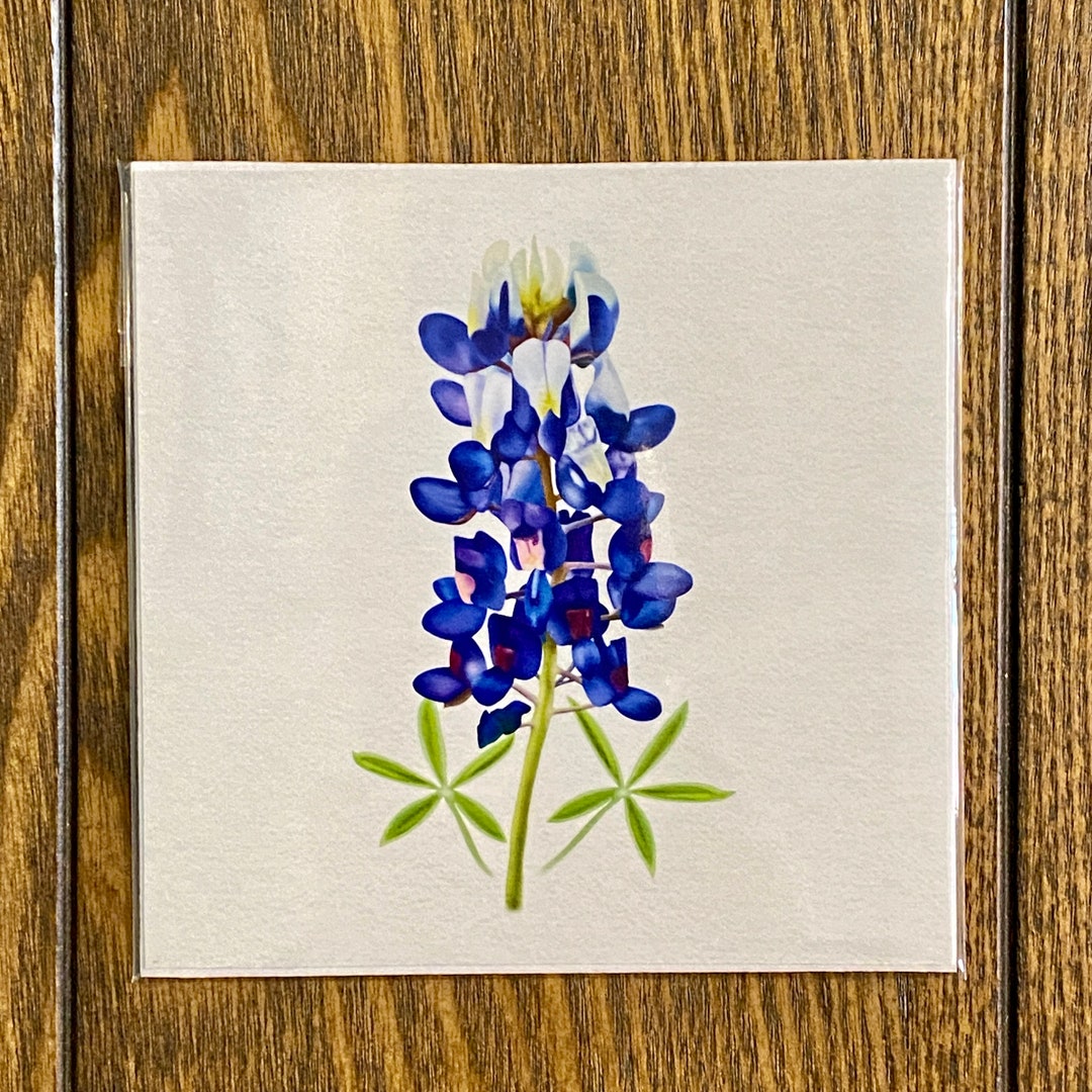 Mini Art Print, 4x4 Bluebonnet Art Print, Texas Art Print, Gift for ...