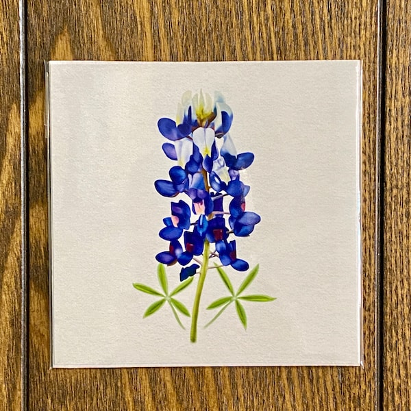 Bluebonnet Art - Etsy