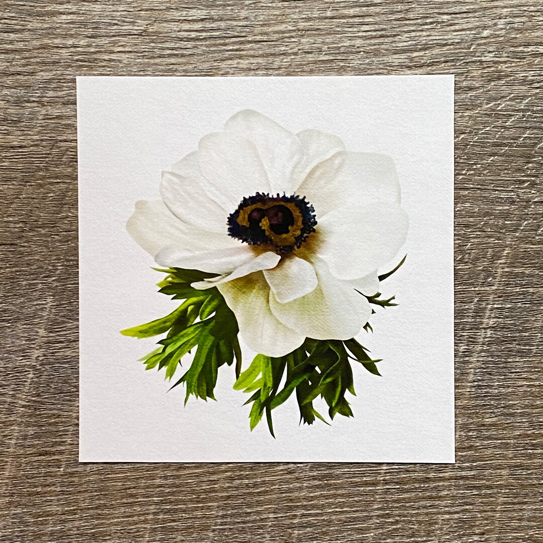Mini Art Print, 4x4 Anemone Art Print, Flower Art Print, Gift for ...