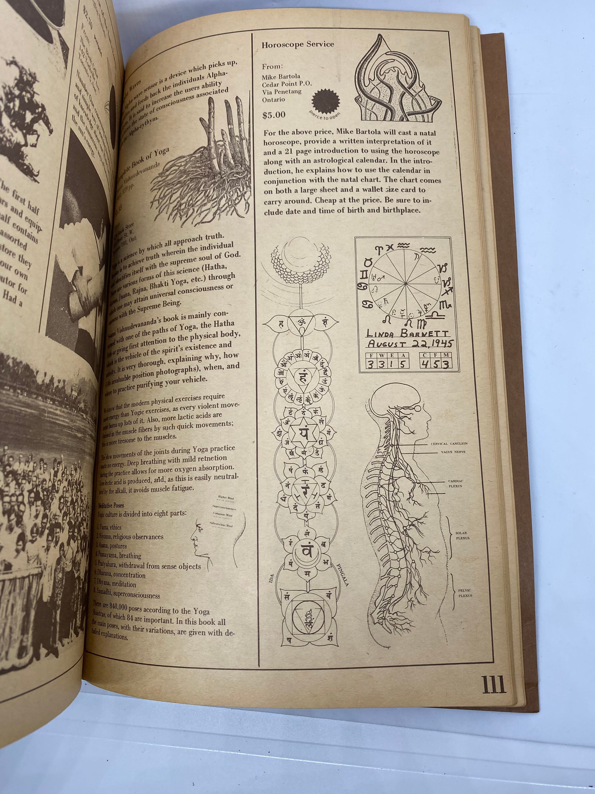 Canadan Whole Earth Almanac Fall 1970 Food Issue Vintage Retro - Etsy