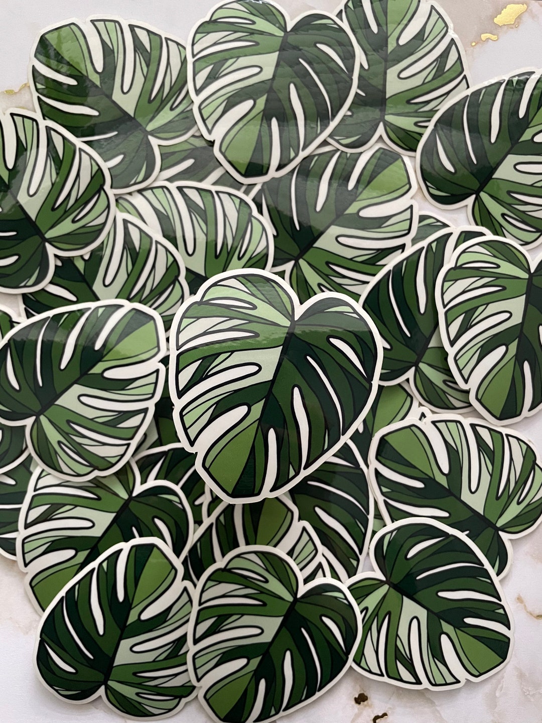 Variegated Monstera Sticker | Monstera Sticker Sticker | Die-cut ...