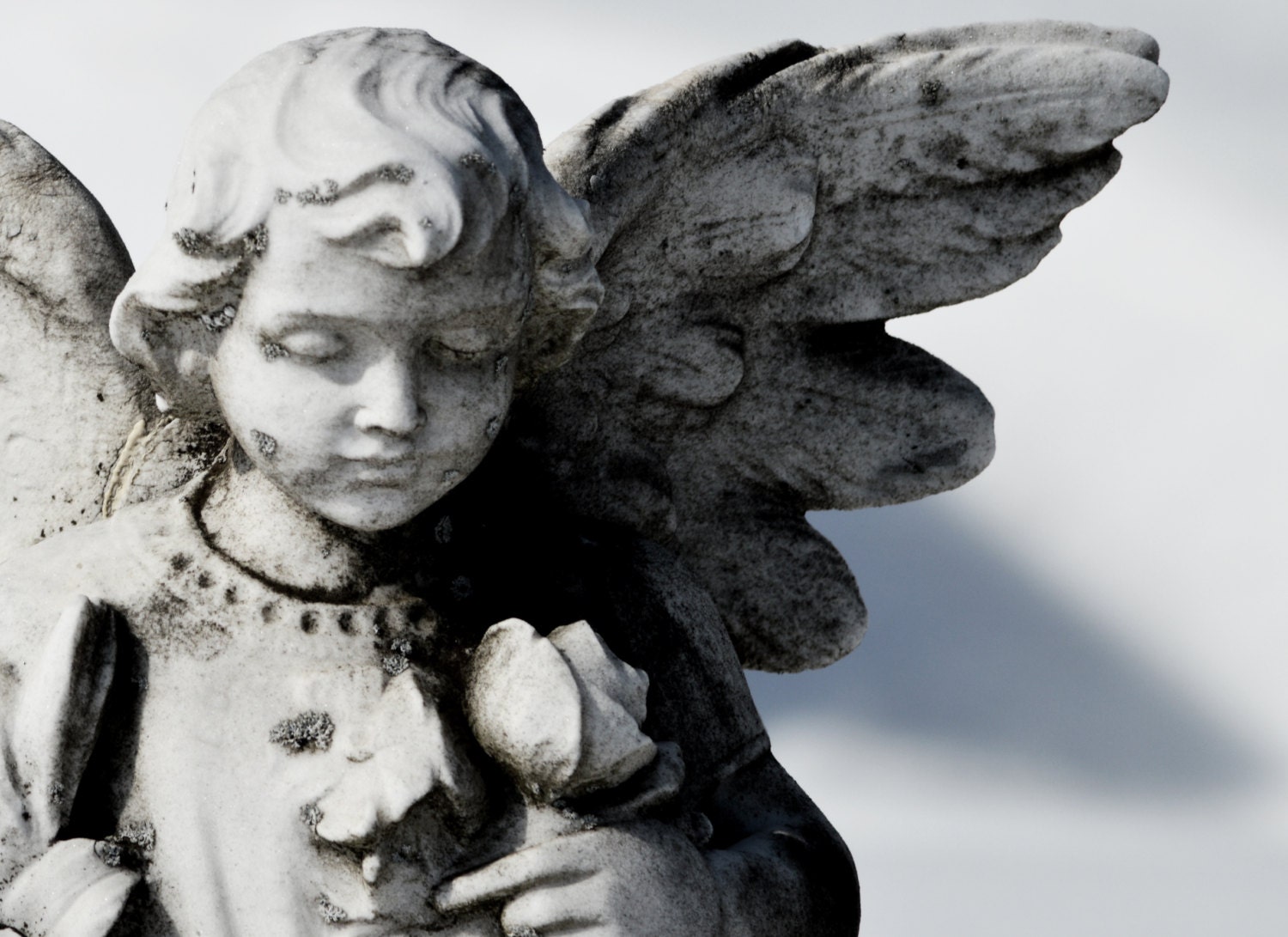 Sweet Praying Angel; Angel Statue With Bloom of Moss; Victorian Angel ...