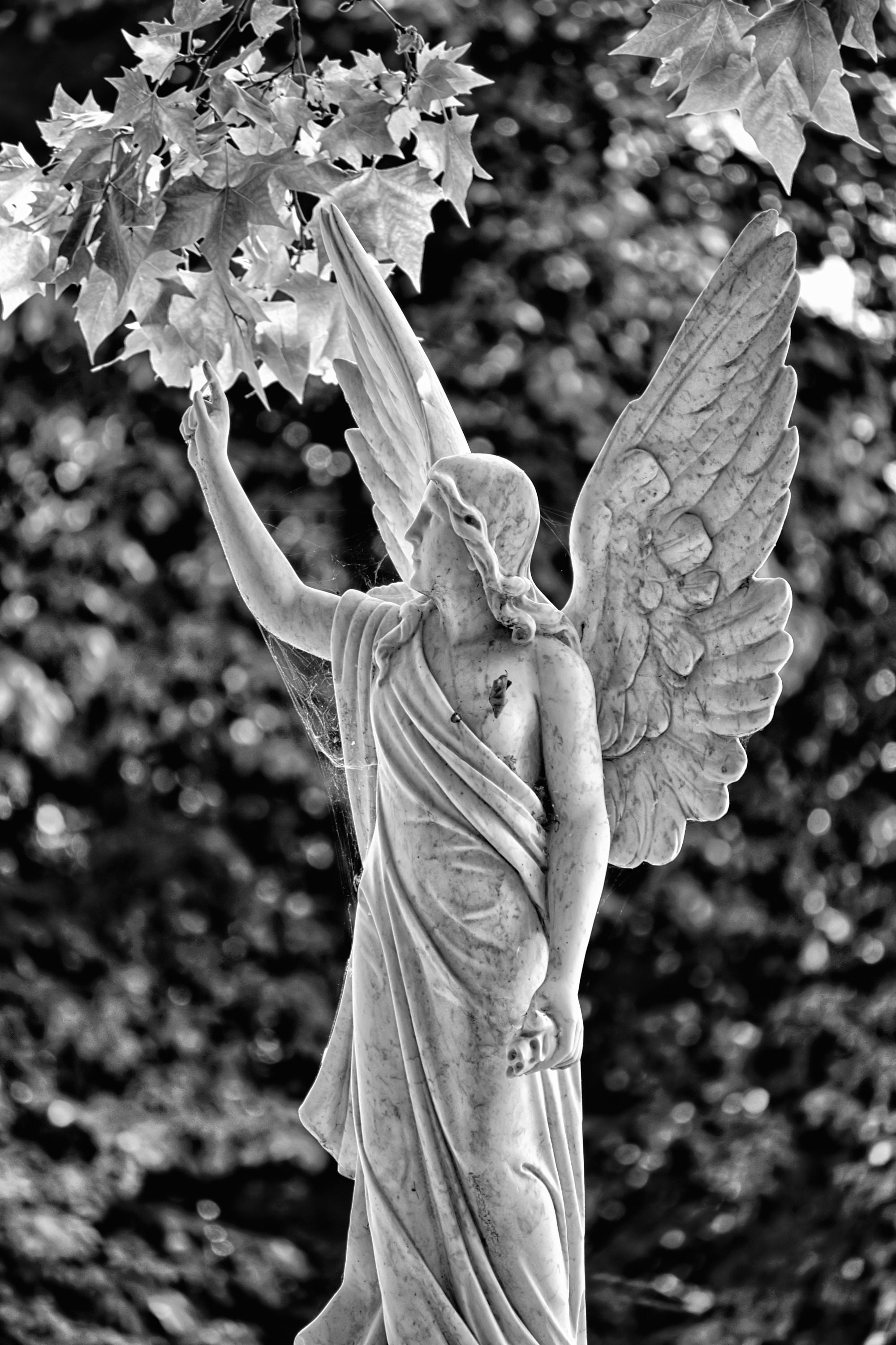 Reach Angel Statue Angel in the Sun Angel Wings Black and White Fine ...