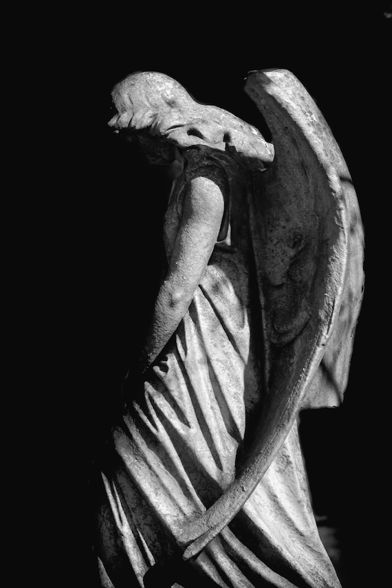 Angel Of Light And Shadow