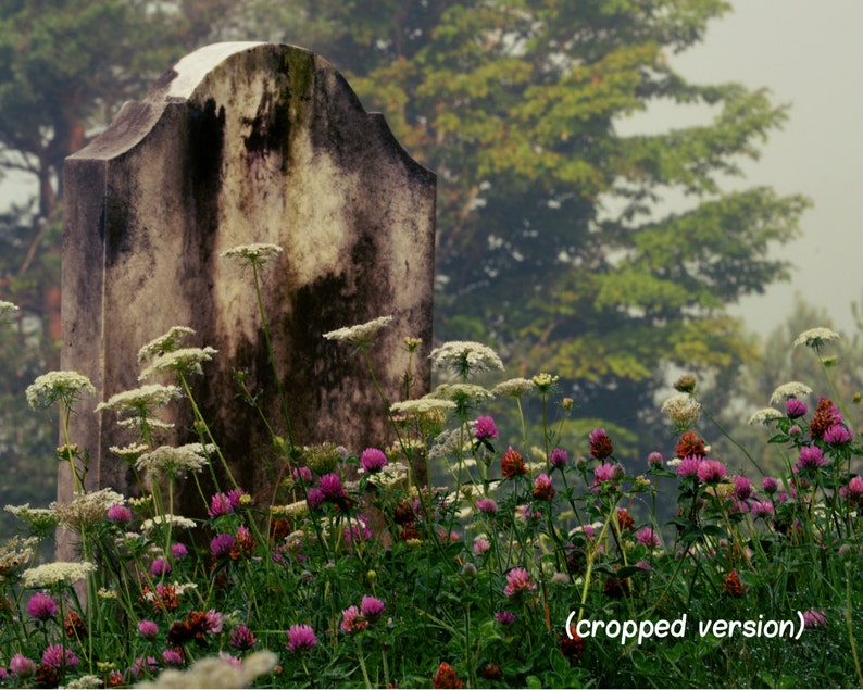 Time Passes-nature Endures; Wildflowers and Gravestone; Foggy Morning ...