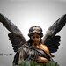 Wings; Angel Statue; Angel in the Rain; Fine Art Photography Custom ...