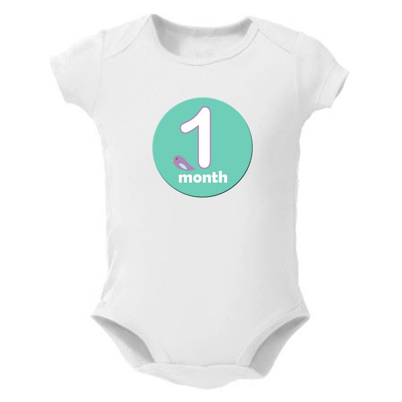Monthly Baby Stickers Printable - Baby First Year - Monthly Milestones ...