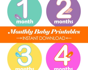 Monthly Baby Stickers Printable - Baby First Year - Monthly Milestones ...