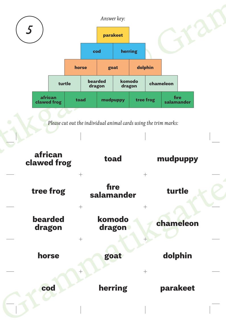 Vertebrate Pyramids | Fun Hands-on Classification Activity for Biology ...