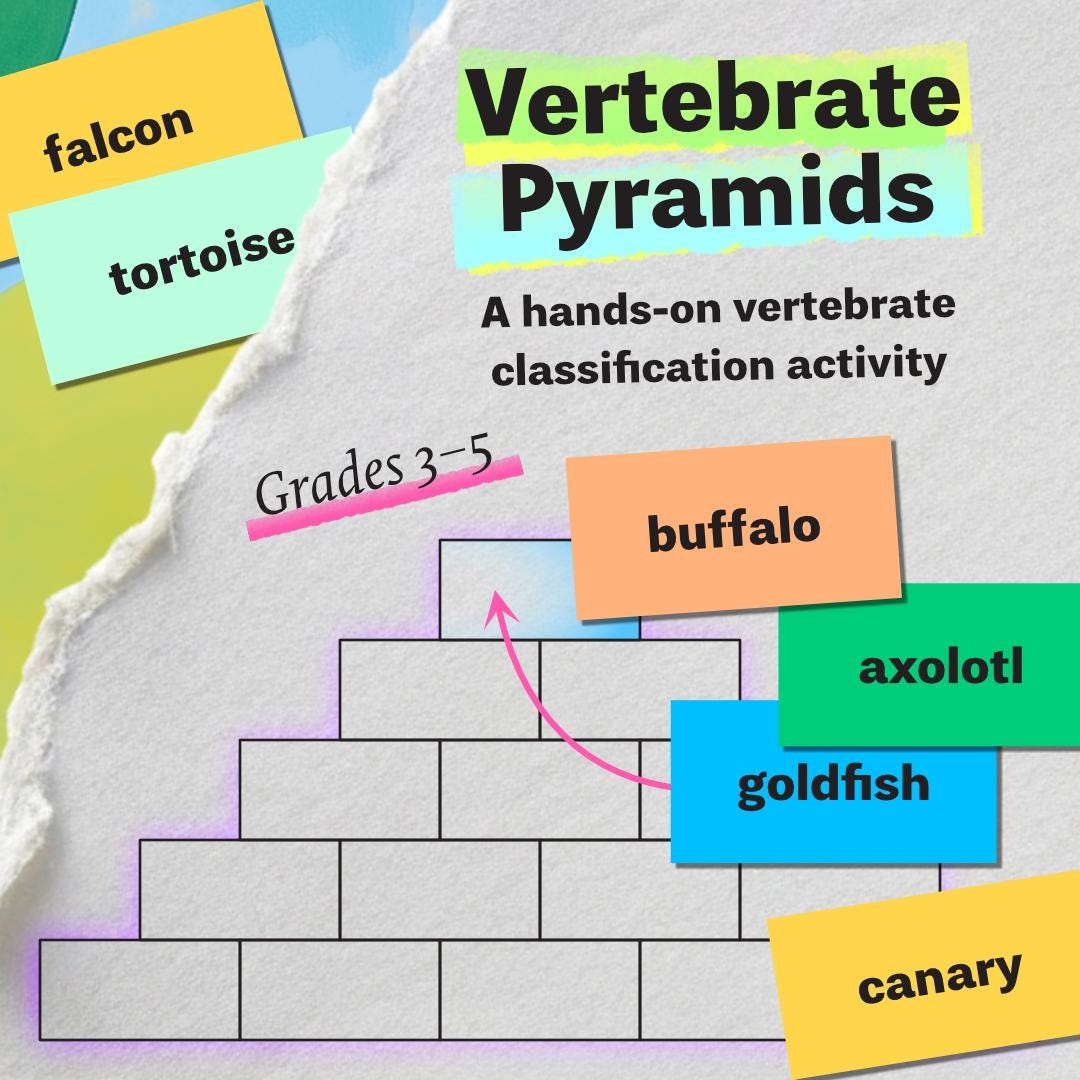 Vertebrate Classification Activity | Science Lesson Printable - Etsy