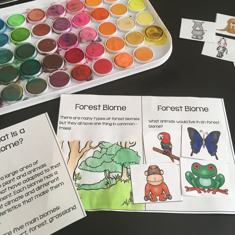 Introduction to Biomes for Preschoolers A Bedtime Book of - Etsy
