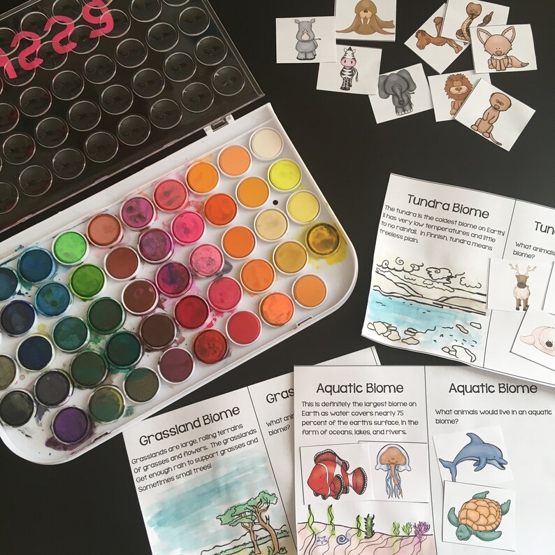 Introduction to Biomes for Preschoolers A Bedtime Book of - Etsy