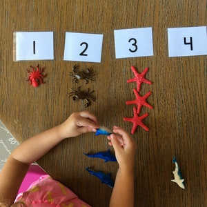 Ocean Activities for Preschoolers and Kindergarteners, Beginning Letter ...