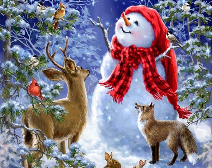 Timeless Treasures Holiday Panels 24 Panel Starry Night Snowman ...