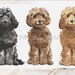 Cockapoo Cross Stitch Chart-cockapoo Trio Cross Stitch Chart Only-row ...