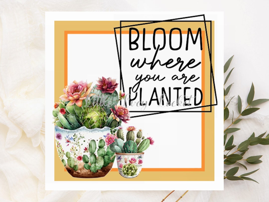 BLANK Card-cactus-inspirational Card-motivational Message-any Occasion ...