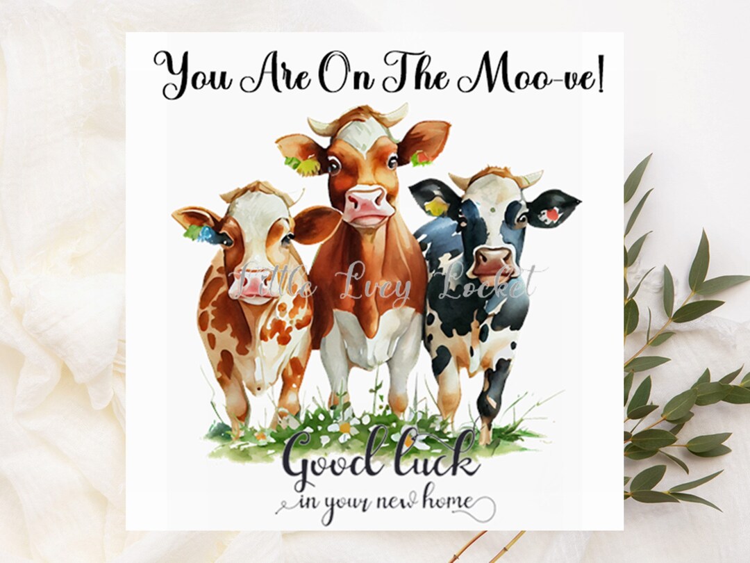 NEW HOME Card - Featuring Cow Trio-fun Cow Moving Card-new Home-new ...