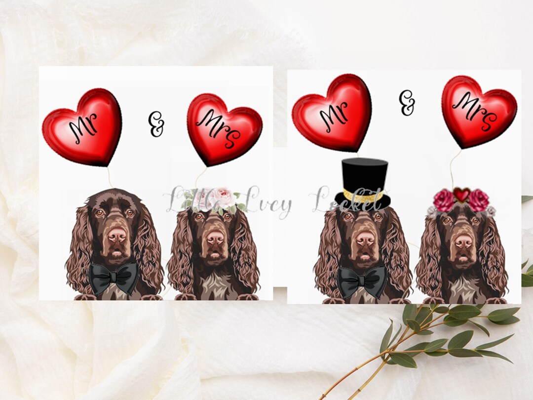 Chocolate COCKER Spaniel WEDDING Card-mr and Mrs-2 Design Choices ...