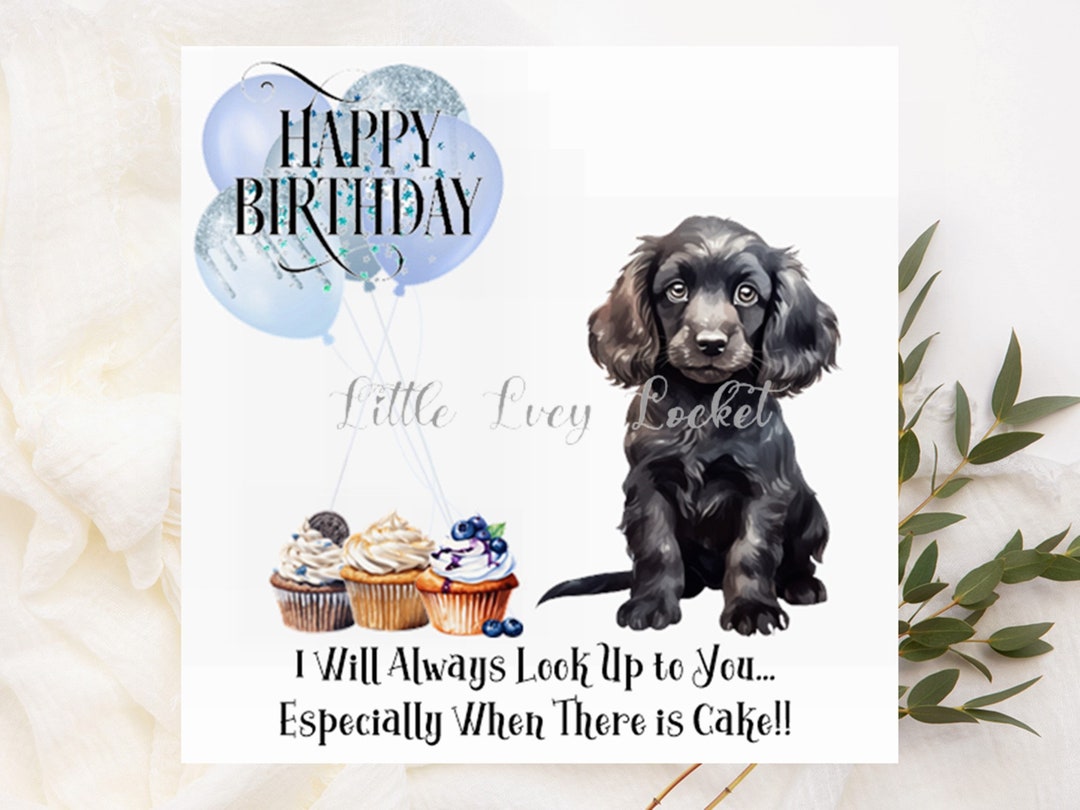COCKER Spaniel Birthday Card-black Cocker-cocker-spaniel - Etsy UK