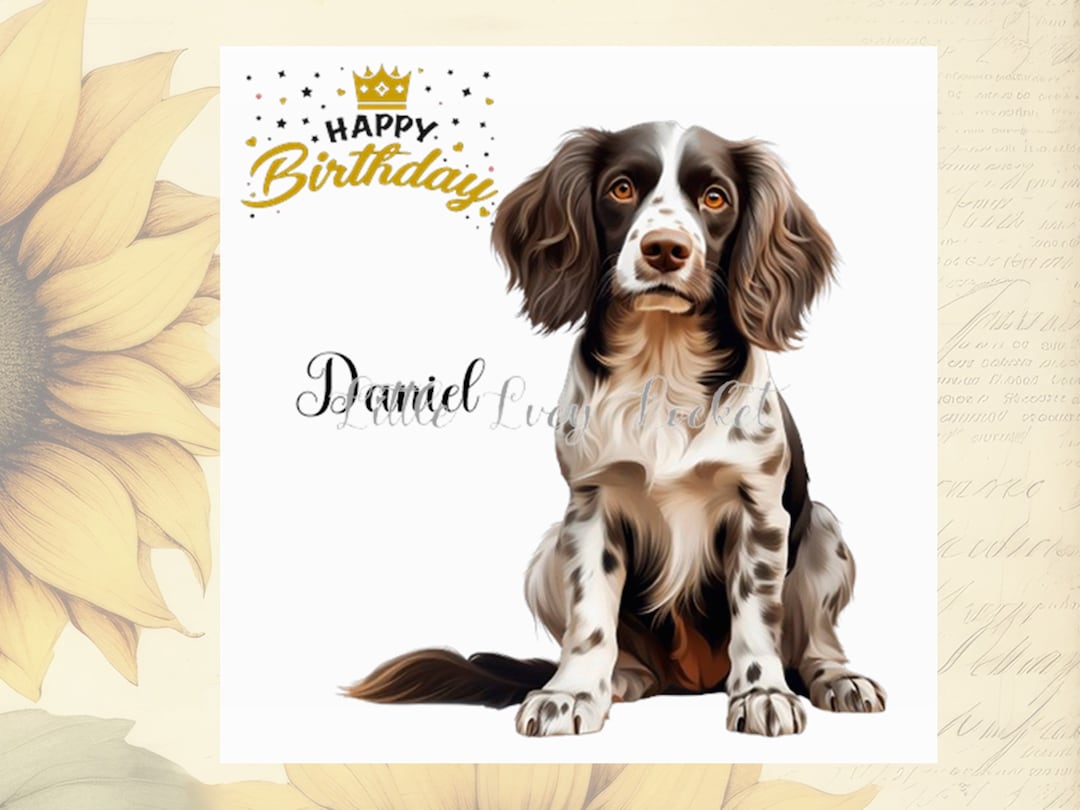 SPRINGER Spaniel Birthday Card-personalised-lw English Springer Spaniel ...